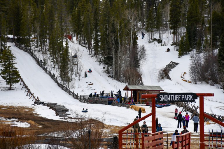 Best Restaurants In Red Feather Lakes For Delectable Eats